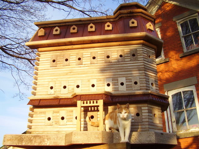 Lifestyles of the Rich and Feathered Presents Extreme Bird Houses ...