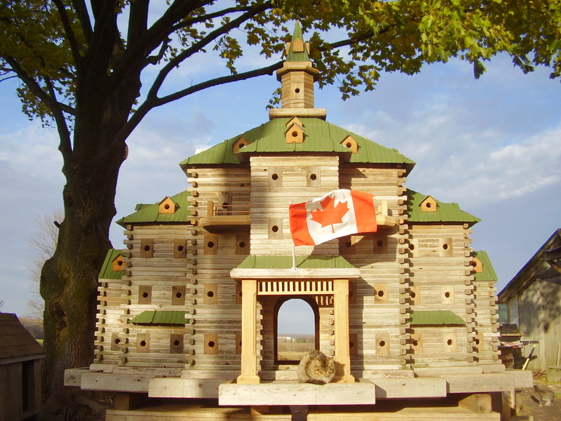 Lifestyles of the Rich and Feathered Presents Extreme Bird Houses ...